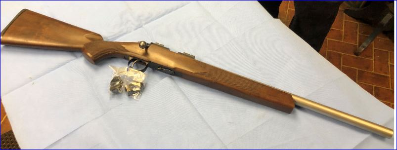 Rimfire Rifles | The Shooters Corner